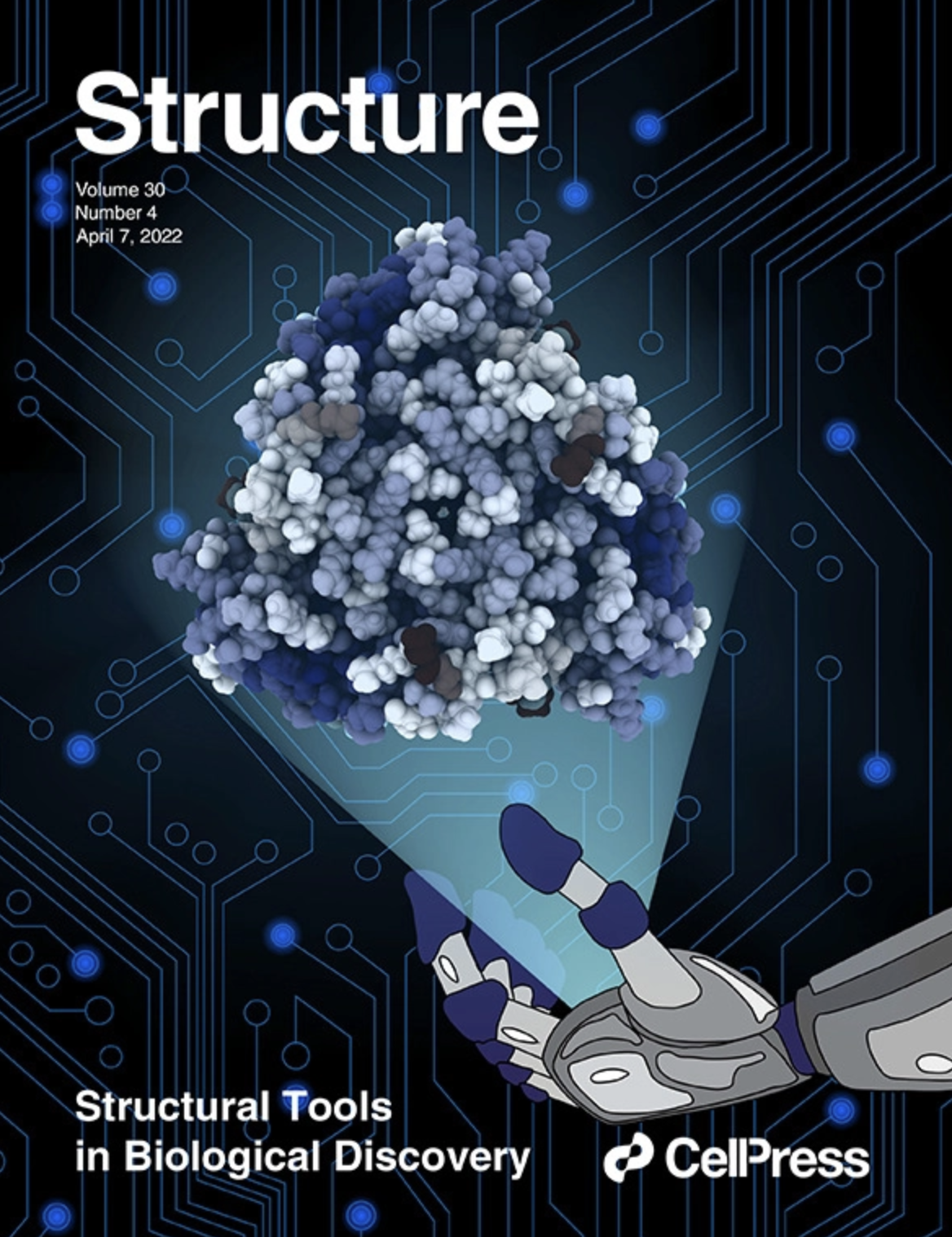 On the cover of Structure – Kastritis Laboratory for Biomolecular Research
